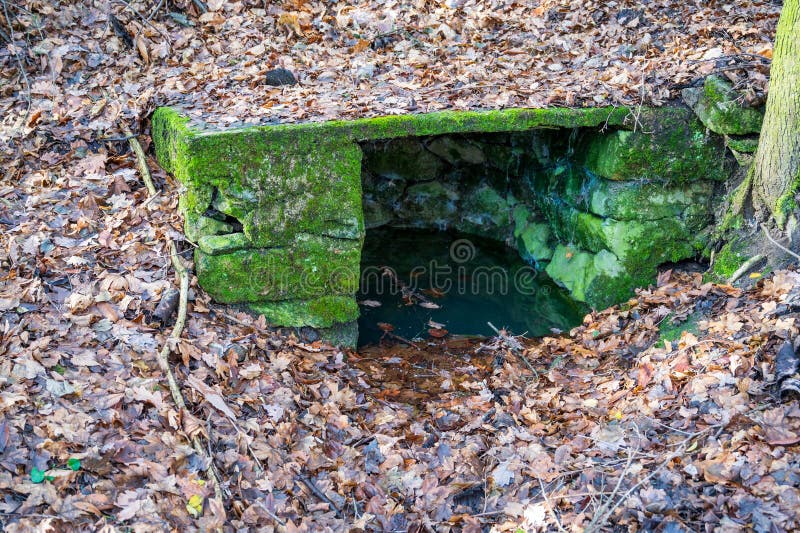Stone Well Overgrown with Moss in the Forest Stock Image - Image of ...