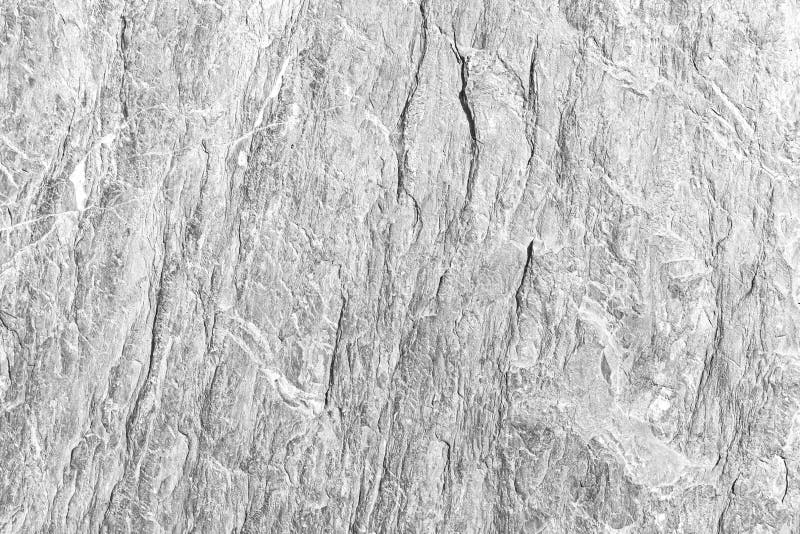 Stone with White Rough Baking Stone from Garden Decoration Stone ...