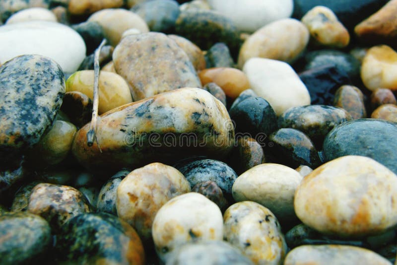 Stone in the Wild, Hard and Cold Stock Photo - Image of desktop, leaf ...