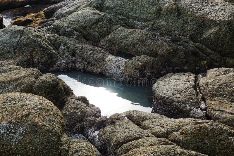 Stone in the Wild, Hard and Cold Stock Photo - Image of travel, park ...
