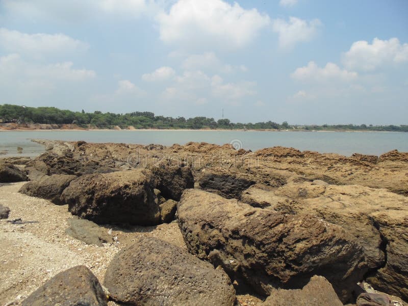 Stone beach stock image. Image of beach, reef, stonebeach - 154651423