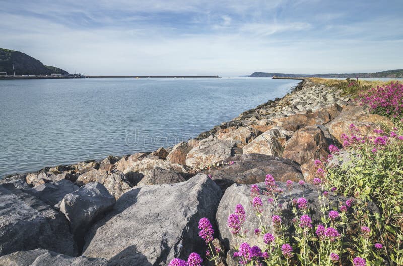 Stonebuilt Breakwater in Fishguard, Pembrokeshire Stock Photo - Image ...