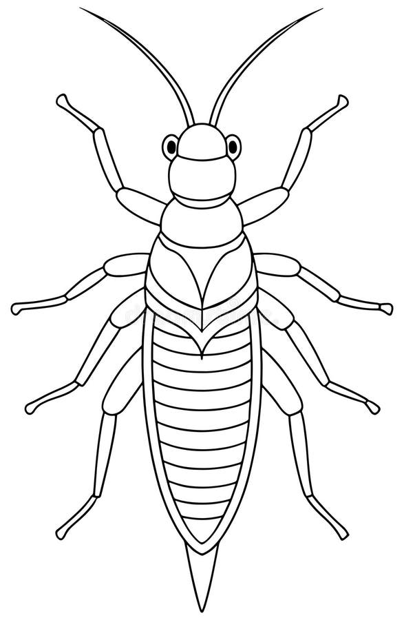 Stonefly Insect Drawing for Fun Kids Activity Stock Vector ...