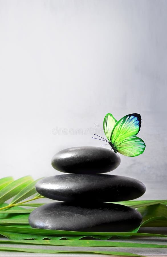 Stones Balance, Palm and Butterfly. Zen and Spa Concept. Stock ...