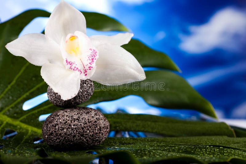 Stones and Bamboo, Zen, Magical Ambient Atmosphere Theme Stock Photo ...