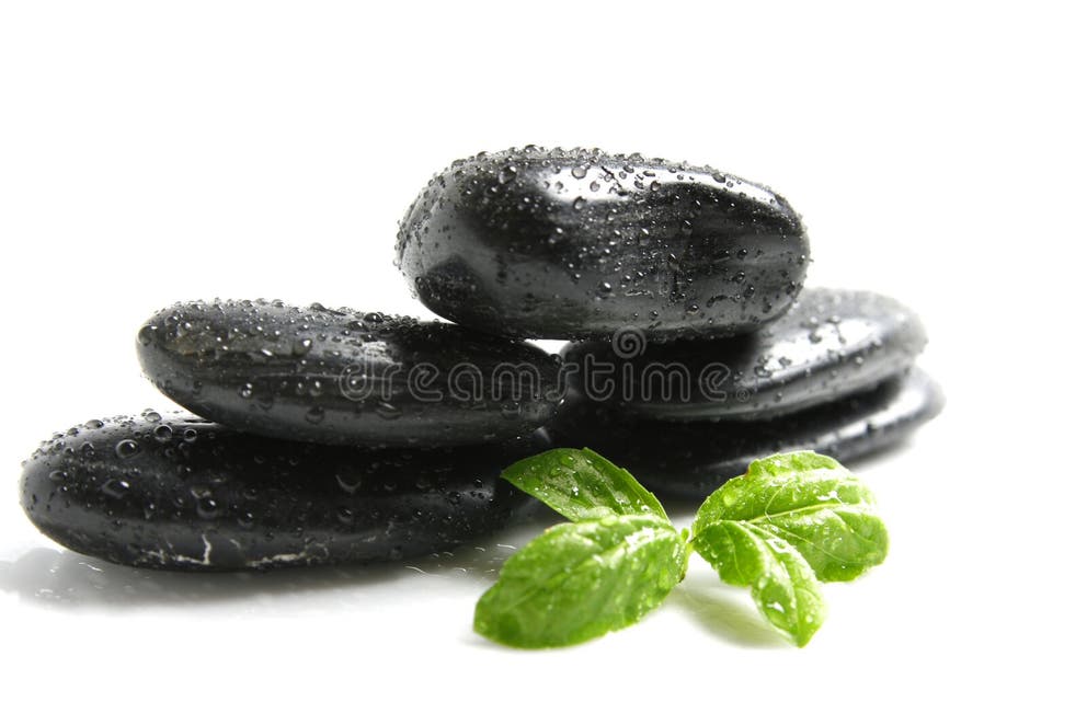 Stones and basil stock photo. Image of green, nature - 11117050