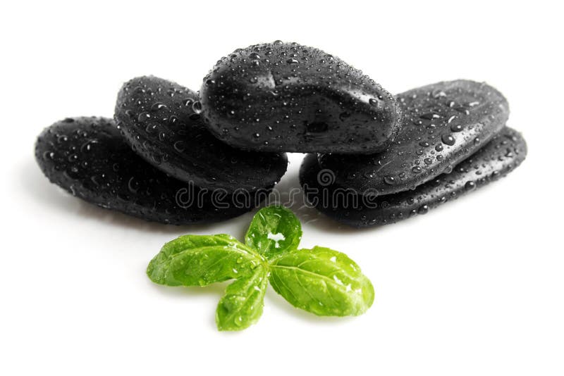Stones and basil stock image. Image of peace, care, health - 11943221