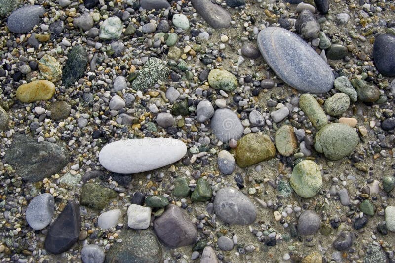 Stones on a beach stock photo. Image of coastal, geological - 223876