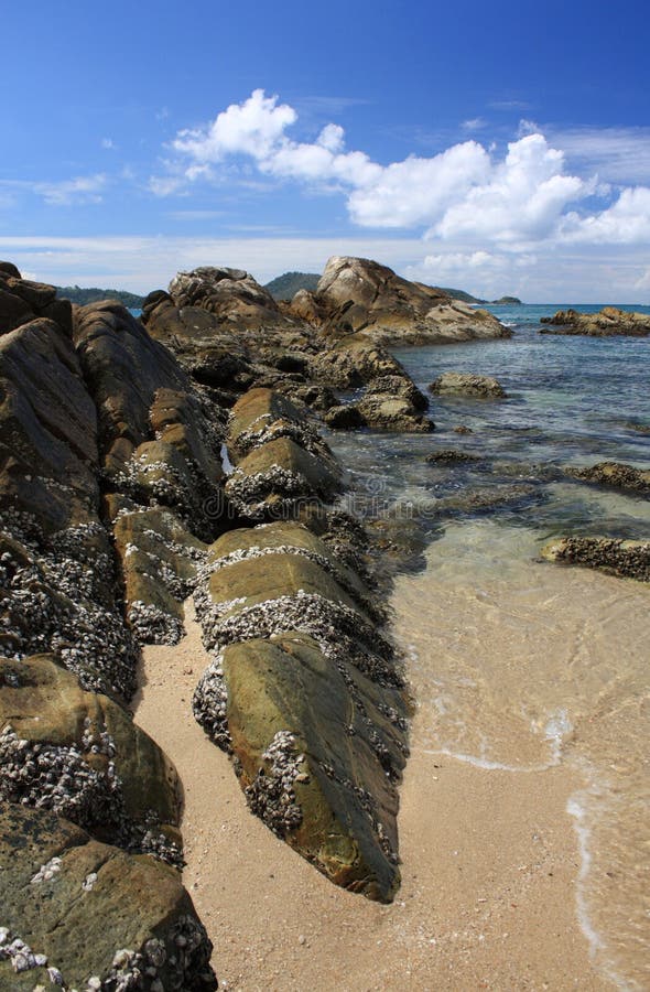 Stones on the beach stock photo. Image of exotic, coast - 24229874