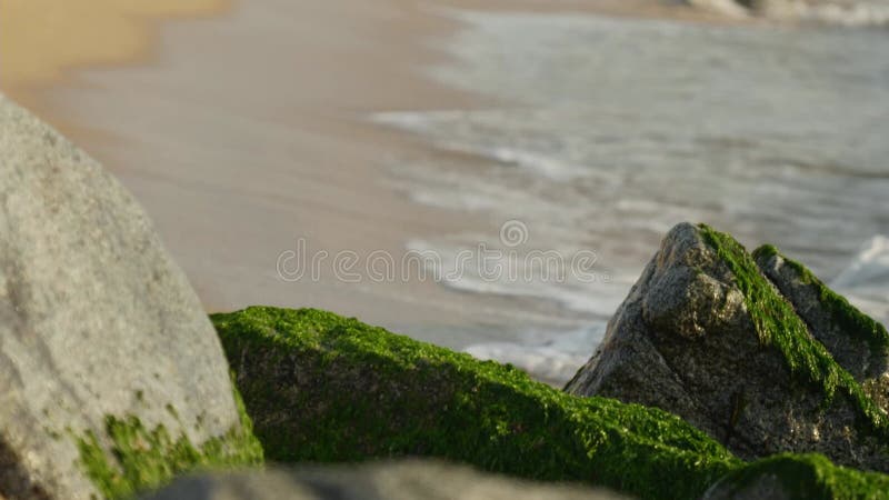 Stones at the Beach Covered by Moss with Sea Waves at the Background ...