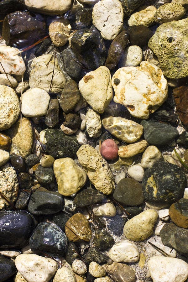Stones on the Beach at the Sea Under Water Stock Image - Image of ...