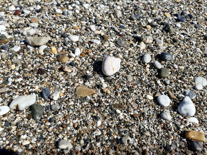 Stones Big and Small on the Seashore Stock Image - Image of wildlife ...