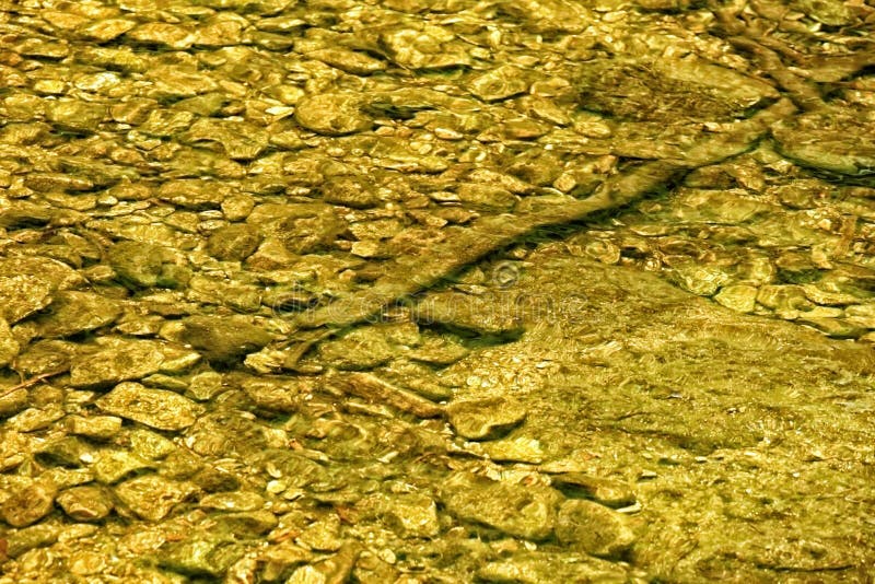 Stones on the Bottom of River Over the Water Stock Image - Image of ...