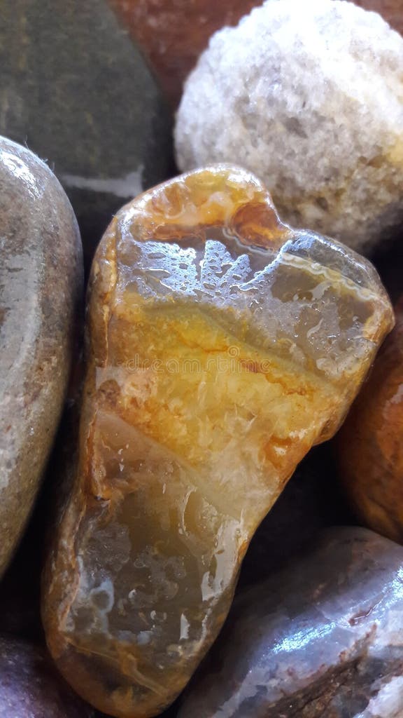 Stones brazilian yellow stock image. Image of meat, plant - 213932203