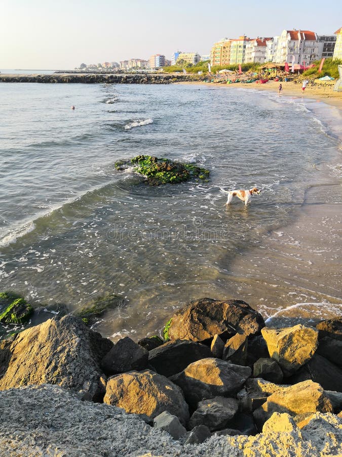 Stones Breakers of Waves at the Sea Stock Image - Image of romania ...