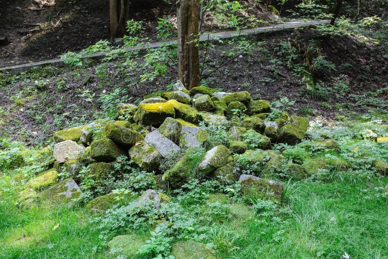 Stones Bricks with Moss Lying Outdoors. Natural Textures Stock Image ...