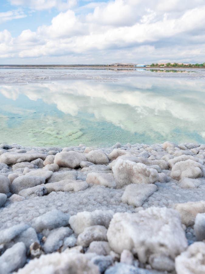 The Stones are Covered with a Crust of Salt on the Shores of the Salar ...