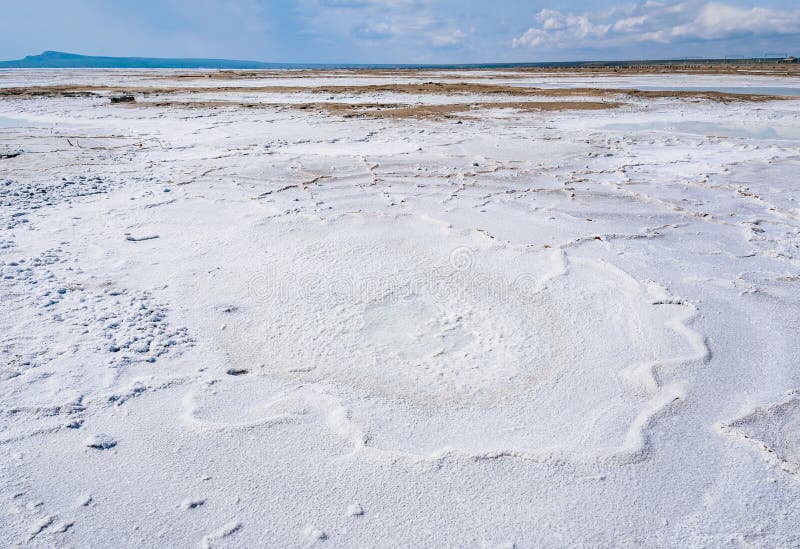 The Stones are Covered with a Crust of Salt on the Shores of the Salar ...