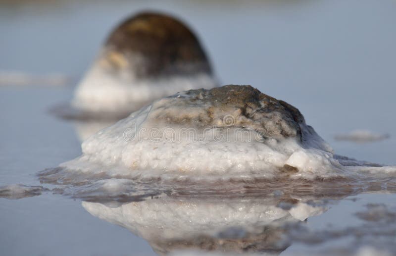 Stones with Crystallized Salt Stock Photo - Image of saltwater ...