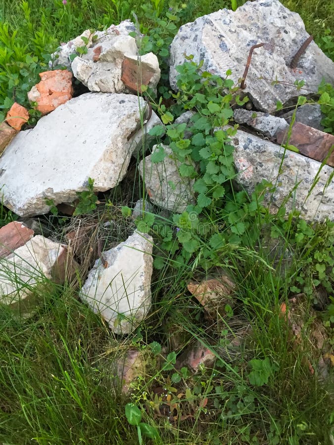 Stones and Debris in the Grass. Stock Image - Image of growing, dirty ...