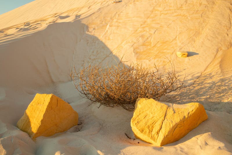 Stones in the Desert on the Sand. Desert Landscape. Stock Image - Image ...