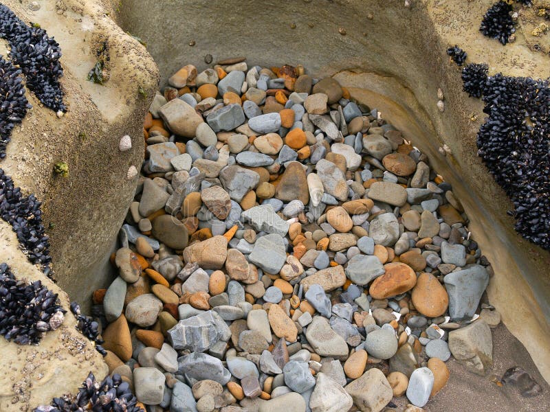 Stones with Difference Collected into Bottom Rock-pool Stock Image ...
