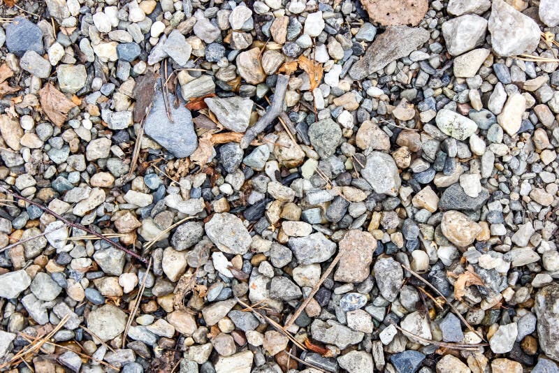 Stones of Different Sizes on the Beach in Summer Stock Image - Image of ...