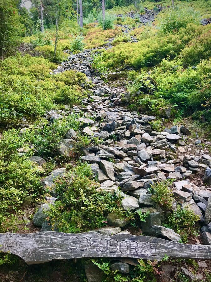 Stones Falling from the Mountains Stock Image - Image of scenic, forest ...