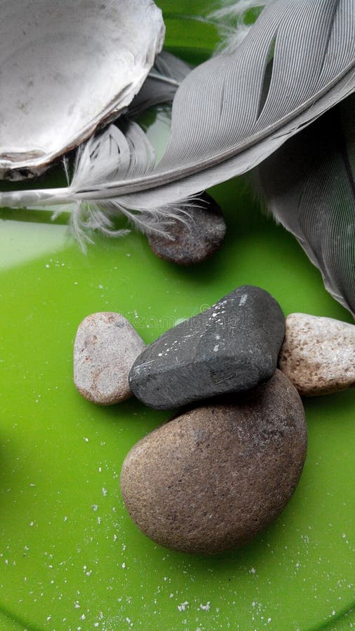 Stones feathers pearl stock image. Image of mussel, gray - 78678925