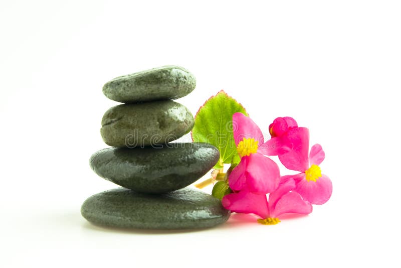 Stones with flower stock photo. Image of green, stones - 11208774