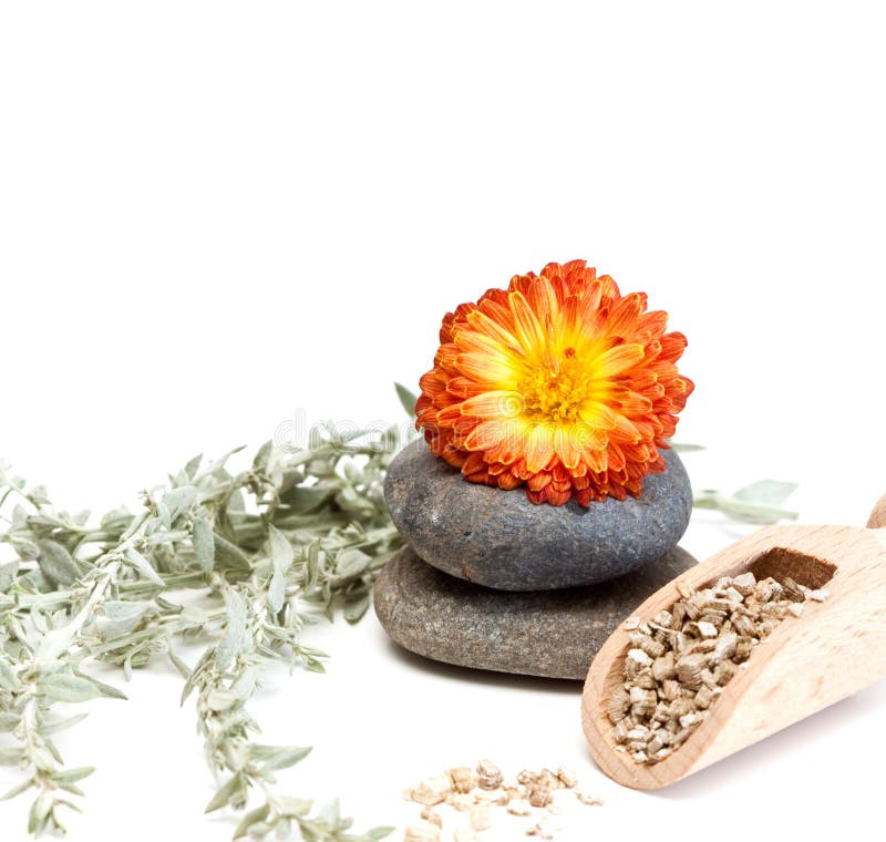 Stones And Flower Picture. Image: 16433589