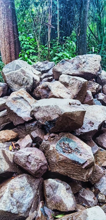 Stones in Forest stock photo. Image of forest, afterrain - 200636506