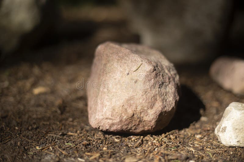 Stones in the Forest. Beautiful Stones Standing on the Ground Stock ...