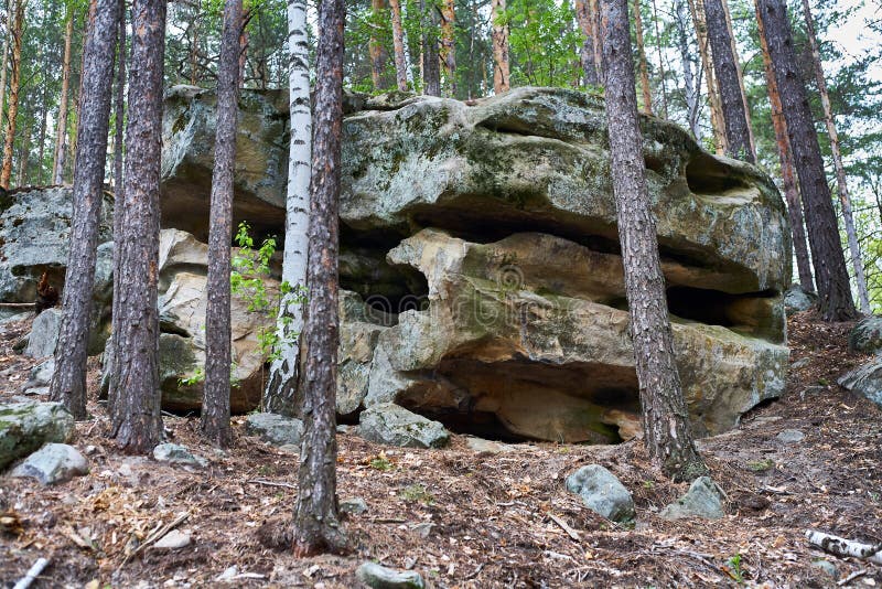 Stones in the forest stock photo. Image of natural, beautiful - 100107610