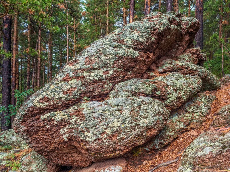 Stones Formation in the Forest. Erosion of Rocks Stock Photo - Image of ...