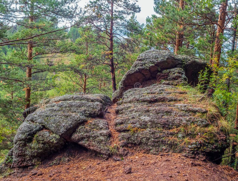 Stones Formation in the Forest. Erosion of Rocks Stock Photo - Image of ...