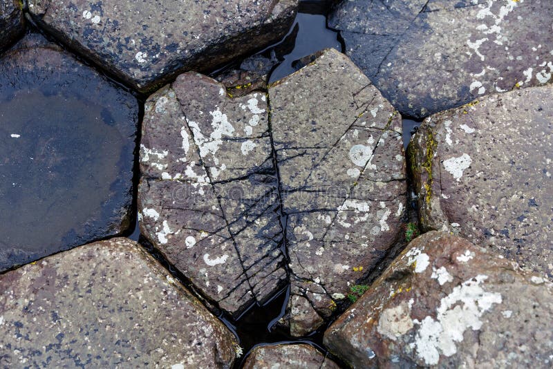 Stones at Giants Causeway stock photo. Image of formation - 66647102