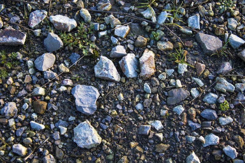 Stones on the Ground stock image. Image of grass, group - 42819627