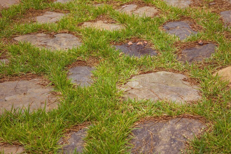 Stones and grass stock image. Image of background, road - 179470919