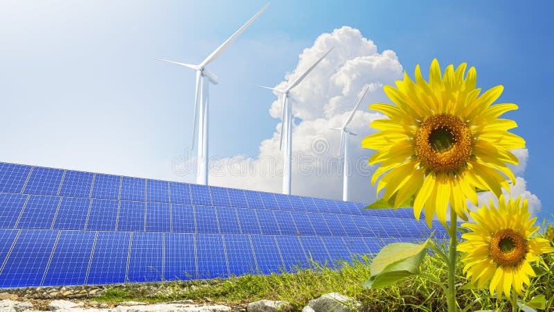 Solar Field and Wind Turbine in Sunflower Field in a Bright Day Stock ...