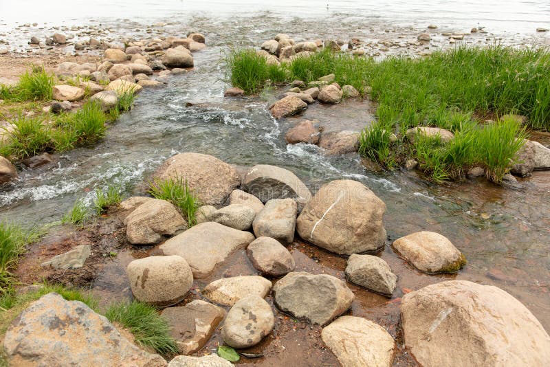Stones and Grass on a Small River. Stock Photo - Image of foliage ...