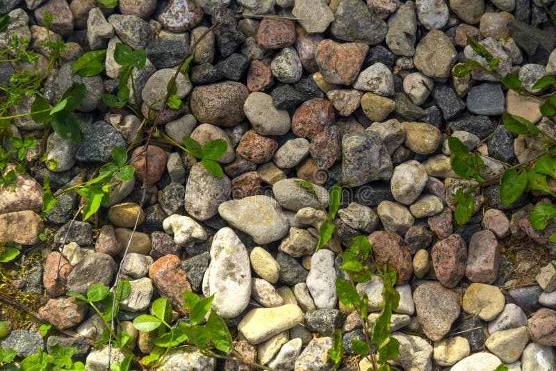 Stones on the Ground. Background of Stones Stock Image - Image of ...