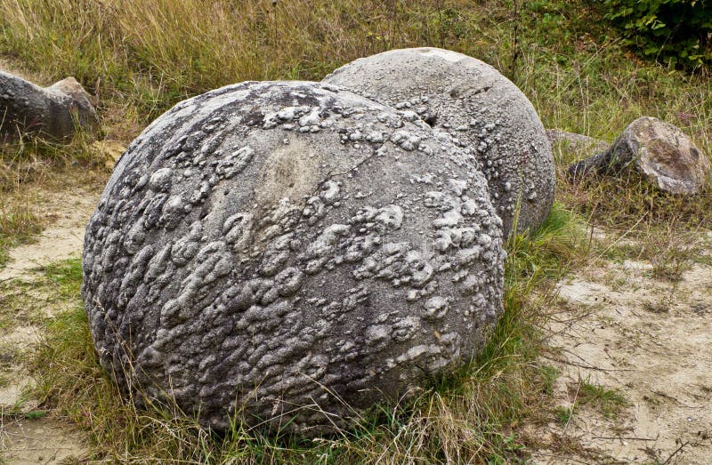 Stones that grow stock image. Image of detail, detritic - 21817647