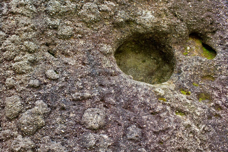 Stones that grow - detail stock photo. Image of size - 21055258