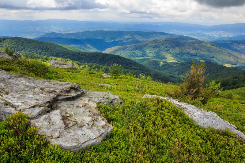 Stones on the hillside stock image. Image of rock, grass - 42006909