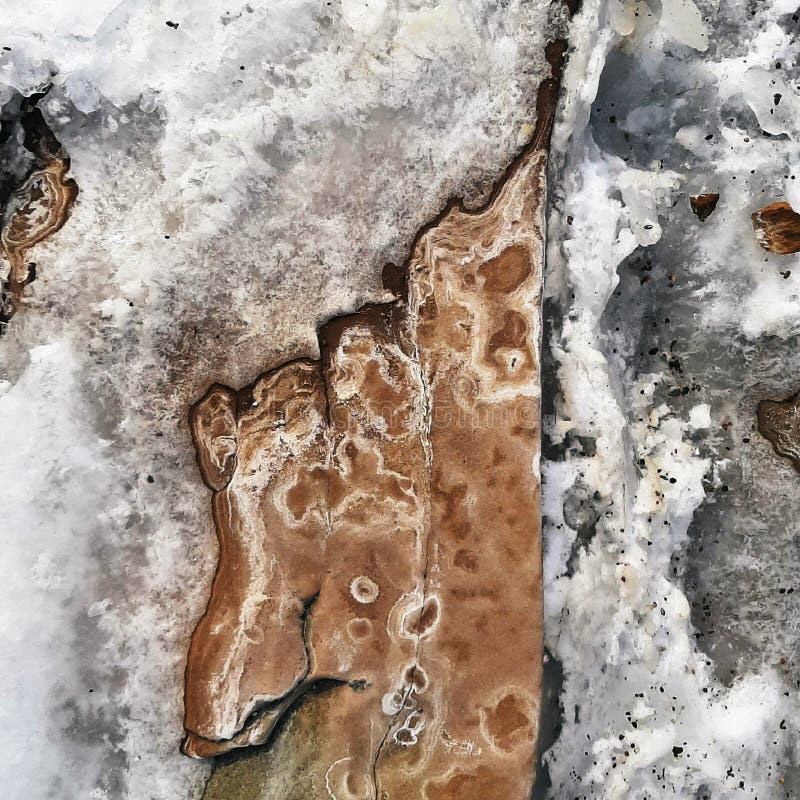 Stones in icy ground stock photo. Image of stones, texture - 315100448