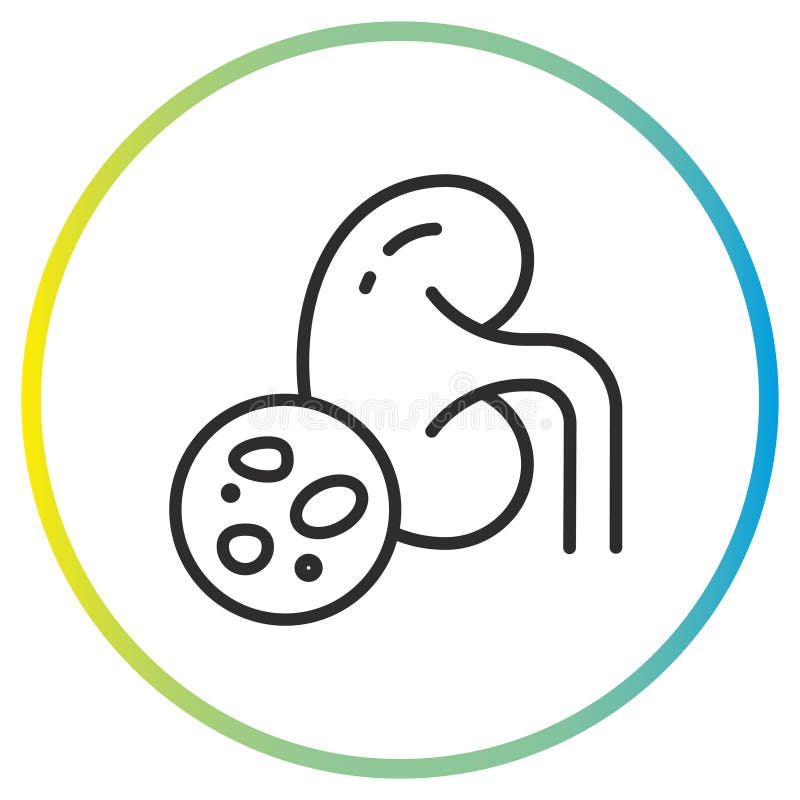 Stones in the Kidneys Icon, Urinary System Problem, Thin Line Symbol ...