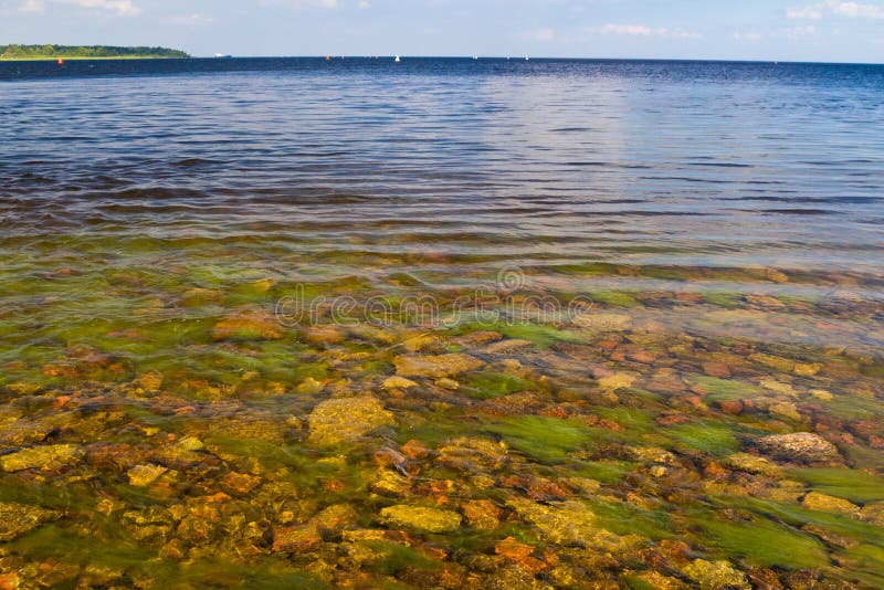 Stones in the lake stock image. Image of rocks, stones - 84254275