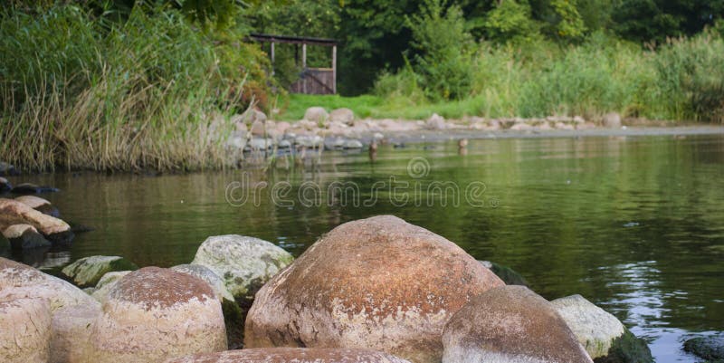 Stones in the Lake with an Small Arbor Stock Photo - Image of grass ...