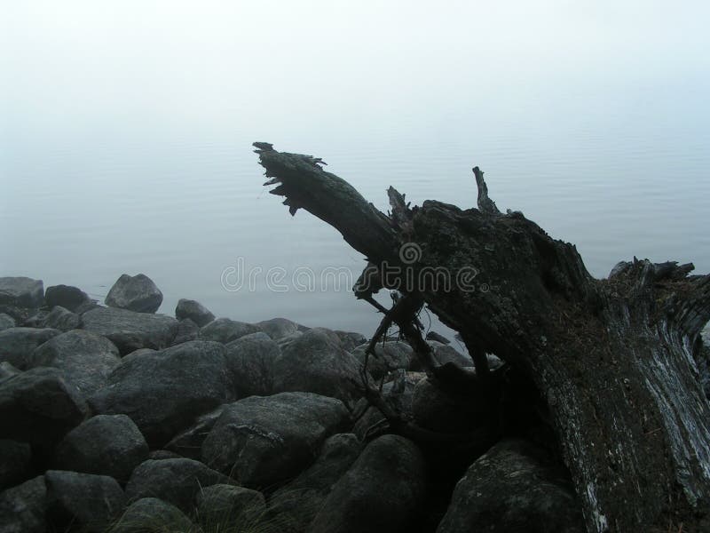 Stones and Log at Edge of Lake Stock Image - Image of relaxation, wood ...